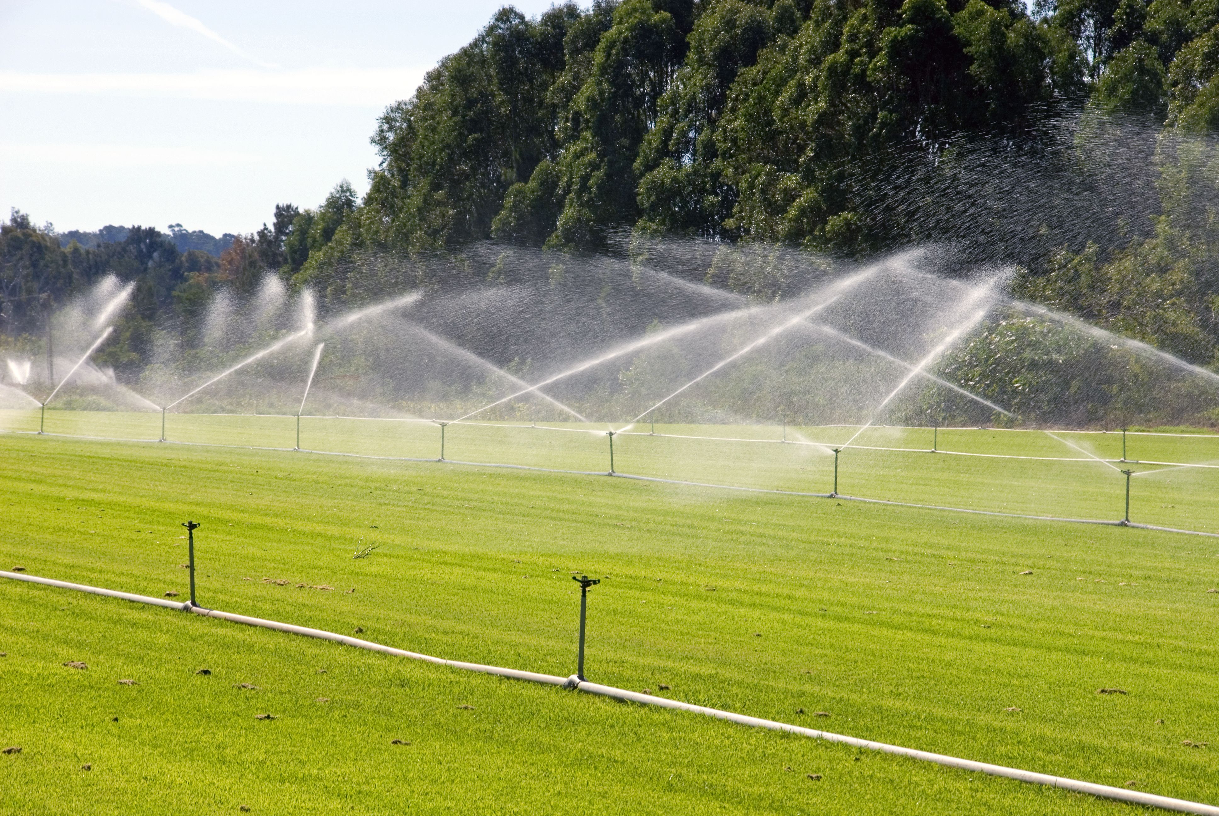 Large Sprinkler Systems In Buildings